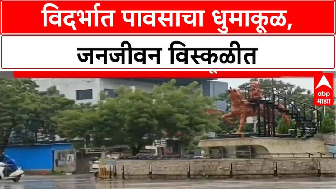 Vidarbha Rain: गोसेखुर्द धरणाचे 33 दरवाजे उघडले, साडेचार लाख क्युसेक्स पाण्याचा विसर्ग