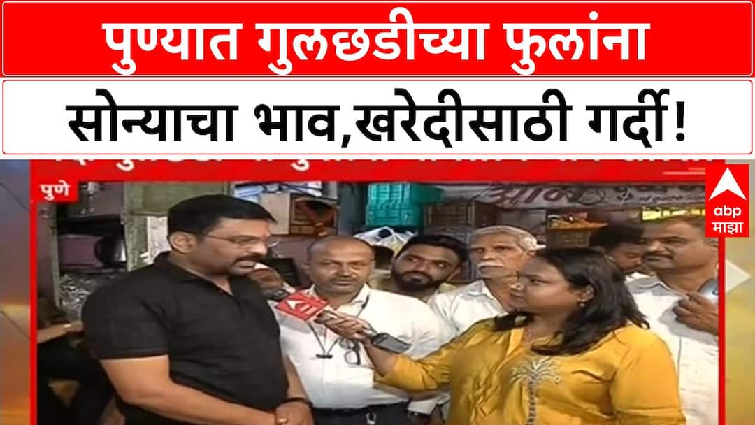 Ganesh Chaturthi Flower Prices | मुसळधार पावसामुळे Gulchadi महाग, आवक ...