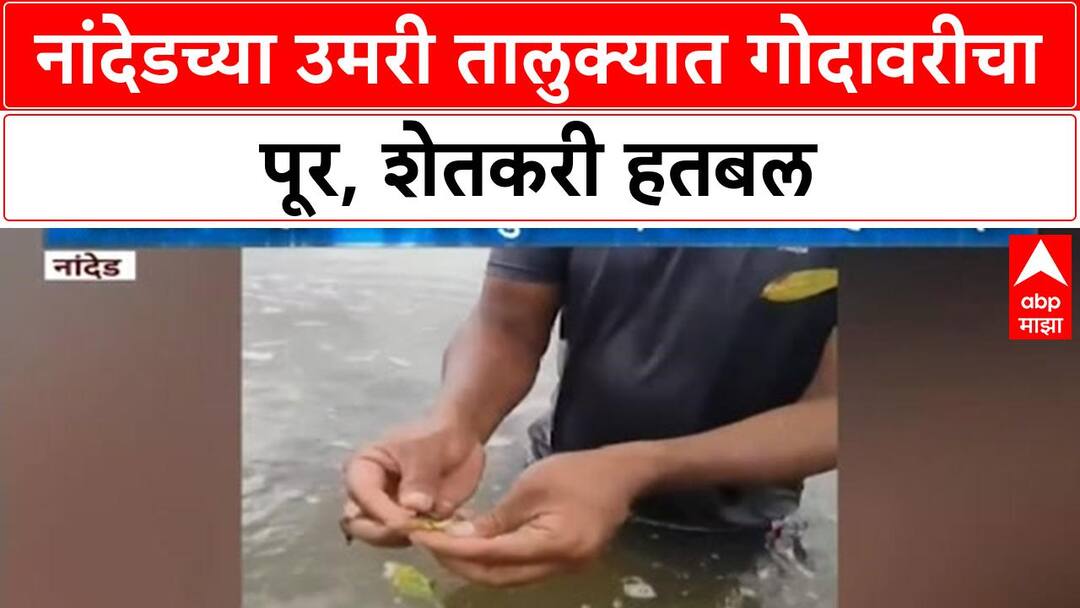 Godavari Flood | Nanded च्या Umri मध्ये 400 हेक्टर जमीन पाण्याखाली ...