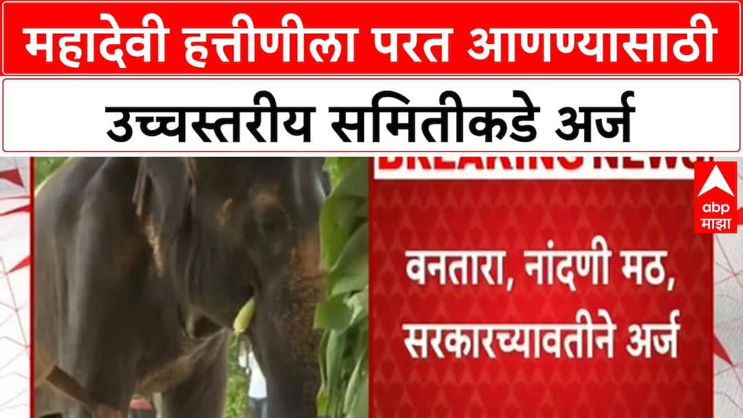 Madhuri Elephant Case | महादेवी हत्तीणीला परत आणण्यासाठी उच्चस्तरीय ...