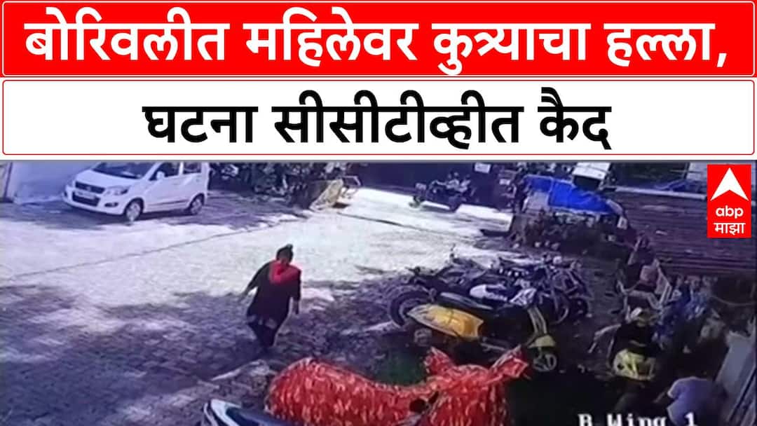 Shocking Video: बोरिवलीत महिलेवर भटक्या कुत्र्याचा जीवघेणा हल्ला ...