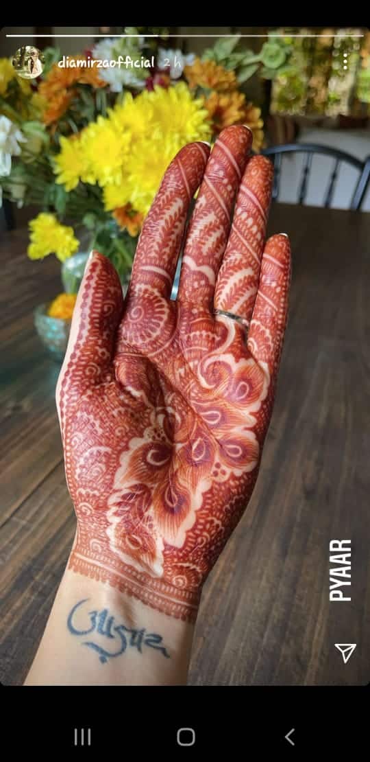 Dia Mirza Wedding LIVE Updates Vaibhav Rekhi Marriage Dia Mirza ...