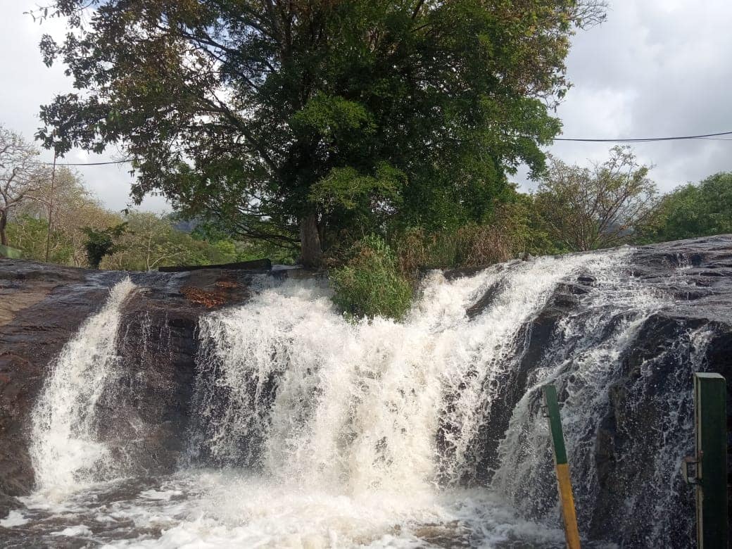 Increase in water level due to flooding in Kumbakarai falls ...
