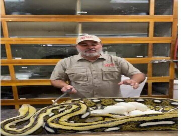 California: When Zookeeper Was Attacked By Python! shocking video viral ...