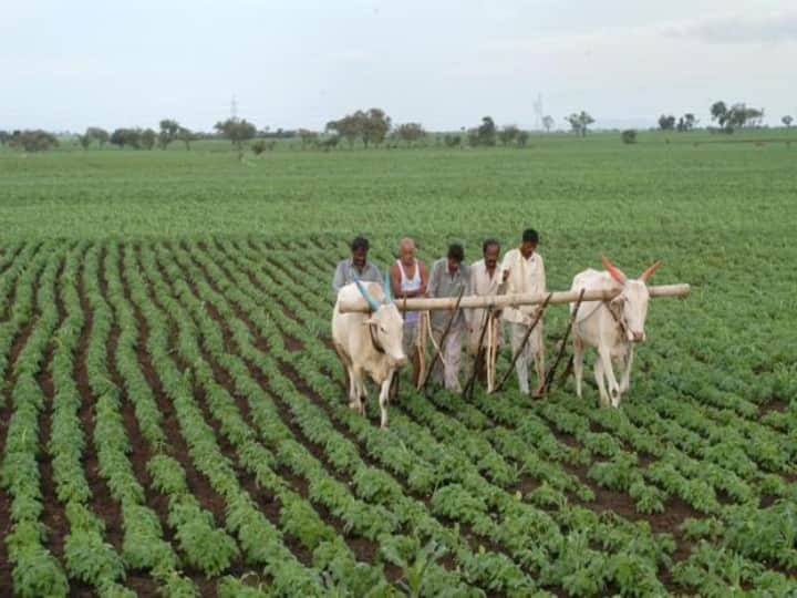 Khasra Number: what is khasra number? its importance in land record ...