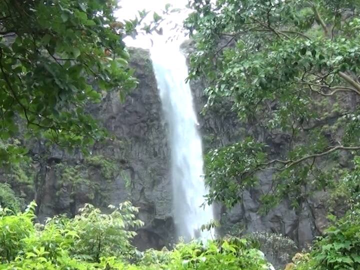 Mangeli Waterfall Dodamarg Sindhudurg in Pics | आनंदाचे असंख्य क्षण ...