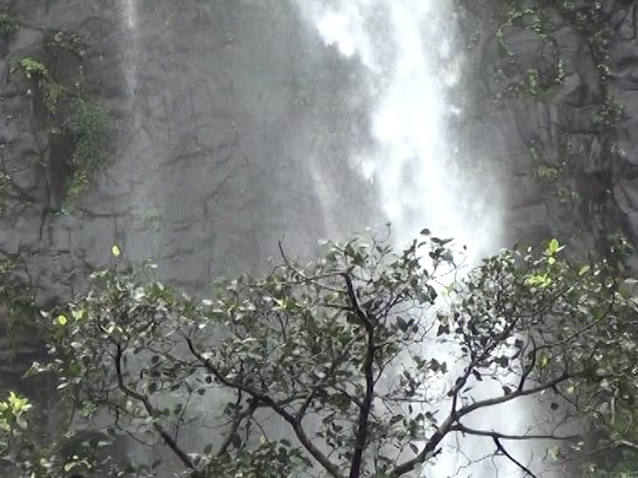 Mangeli Waterfall Dodamarg Sindhudurg in Pics | आनंदाचे असंख्य क्षण ...