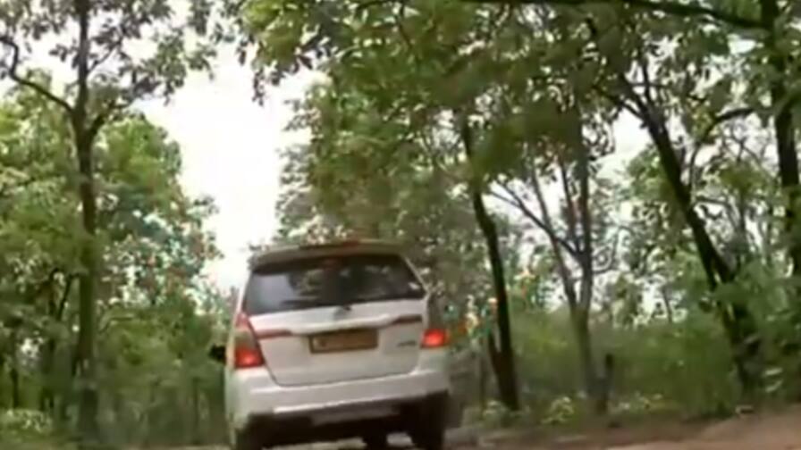 Exclusive report over Diamond mine project in MP's Buxwaha forest ...