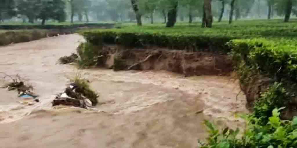Multiple tea gardens in Banarhat and Binnaguri submerged due to ...