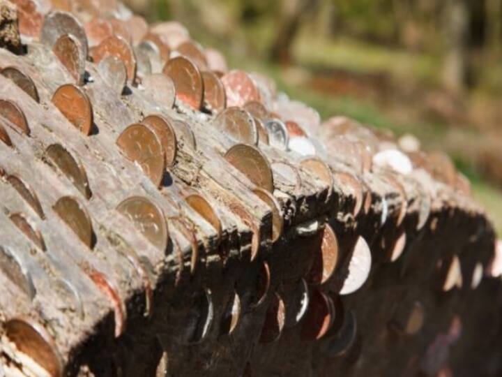 The story behind Britain’s mysterious coin trees | Money Trees: ఆ ఊళ్లో ...