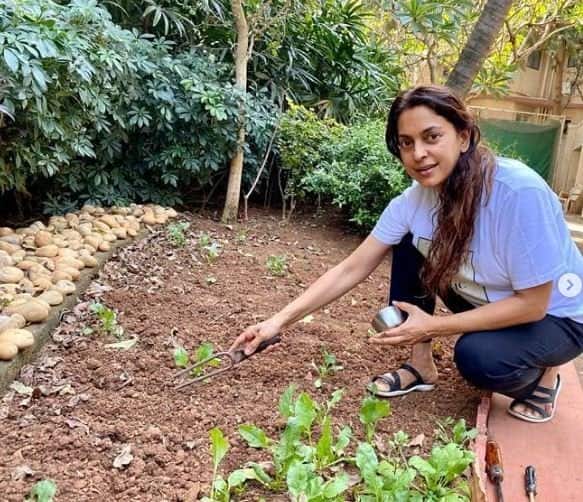 Juhi Chawla lives in a luxury villa in Malabar Hills see inside photos ...