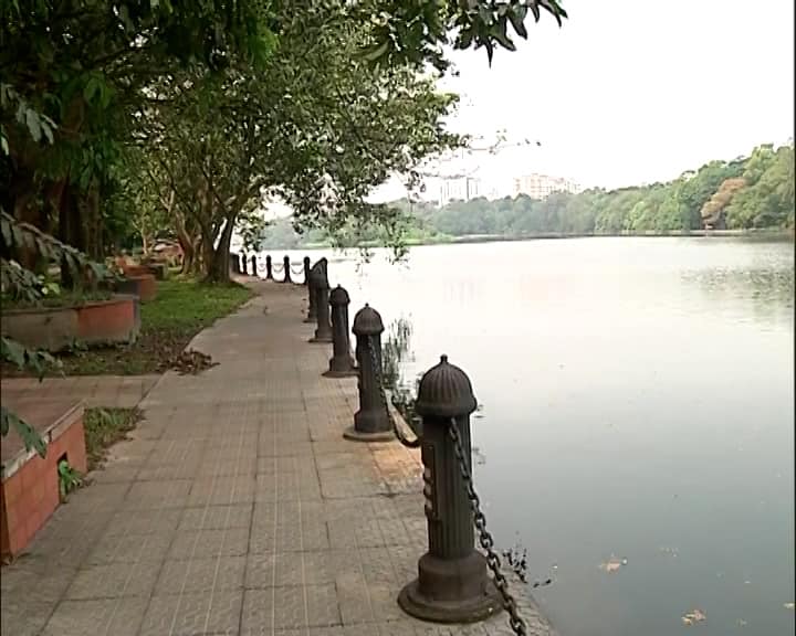 Kolkata Dead Fishes shows up at Rabindra Sarovar See in Pics | Kolkata: রবীন্দ্র সরোবরে ভেসে উঠল ...
