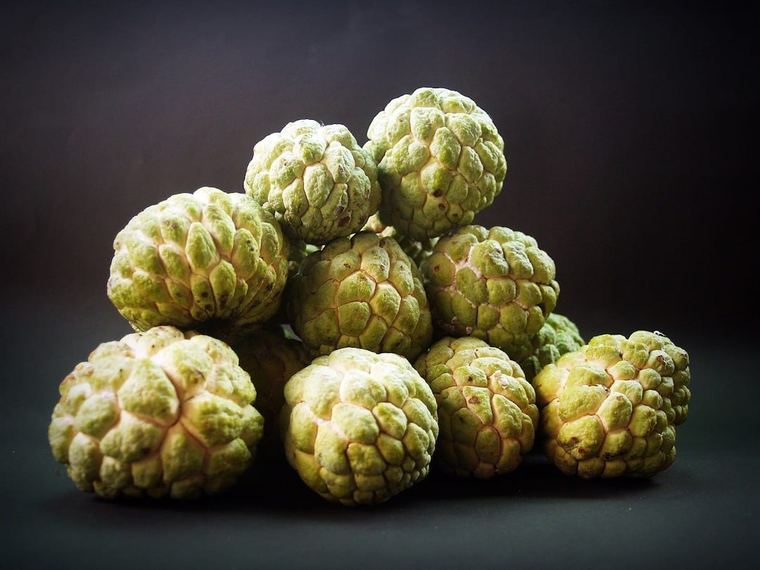 how to eat Custard Apple or Sugar Apple For good Health benefits of ...