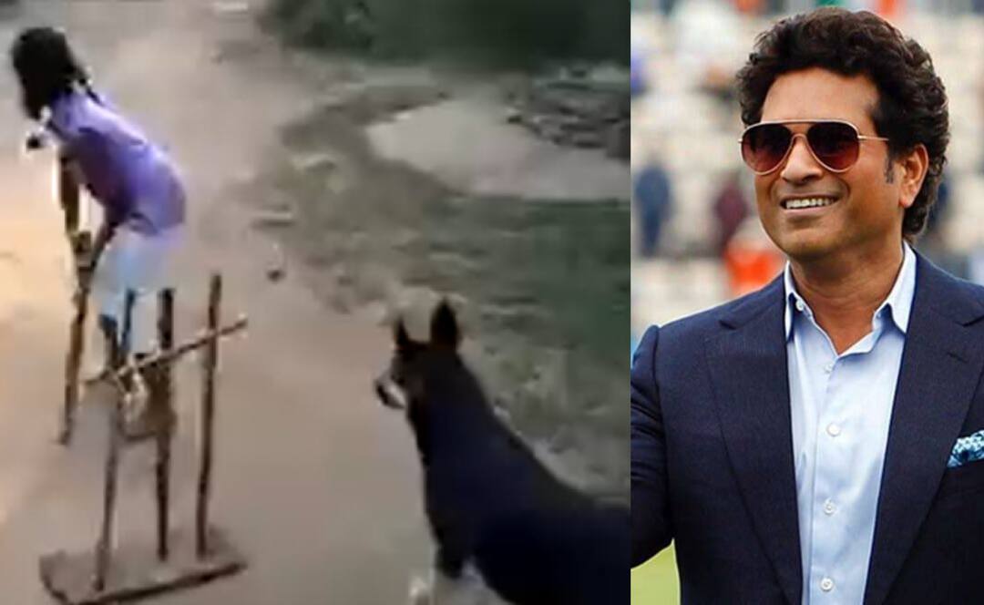 Watch Video of cricketer dog amuses Sachin Tendulkar; tweet goes viral ...