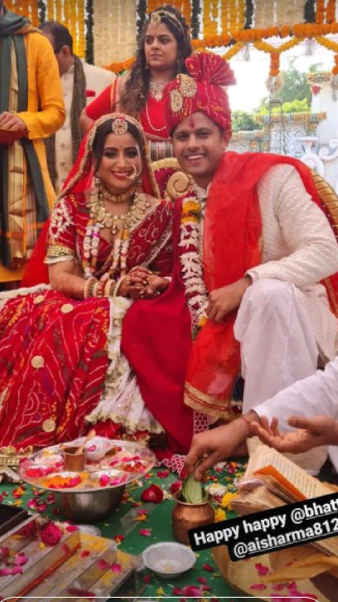 TV Actors Aishwarya Sharma-Neil Bhatt Get Married