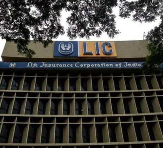 LIC पॉलिसीधारकांना IPOमध्ये किती फायदा?