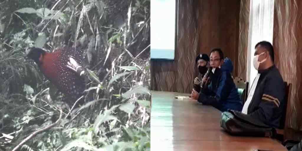 Darjeeling: Rare species of birds found in Darjeeling sanctuary after ...