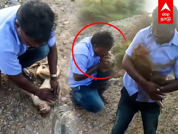 Viral video if man giving cpr for monkey and saved monkey life watch ...