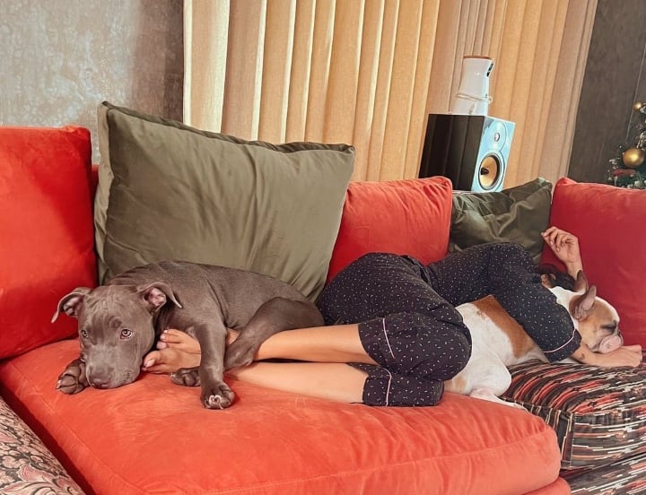 Samantha ruth prabhu shares photos with her pet dog Hash and Sasha ...