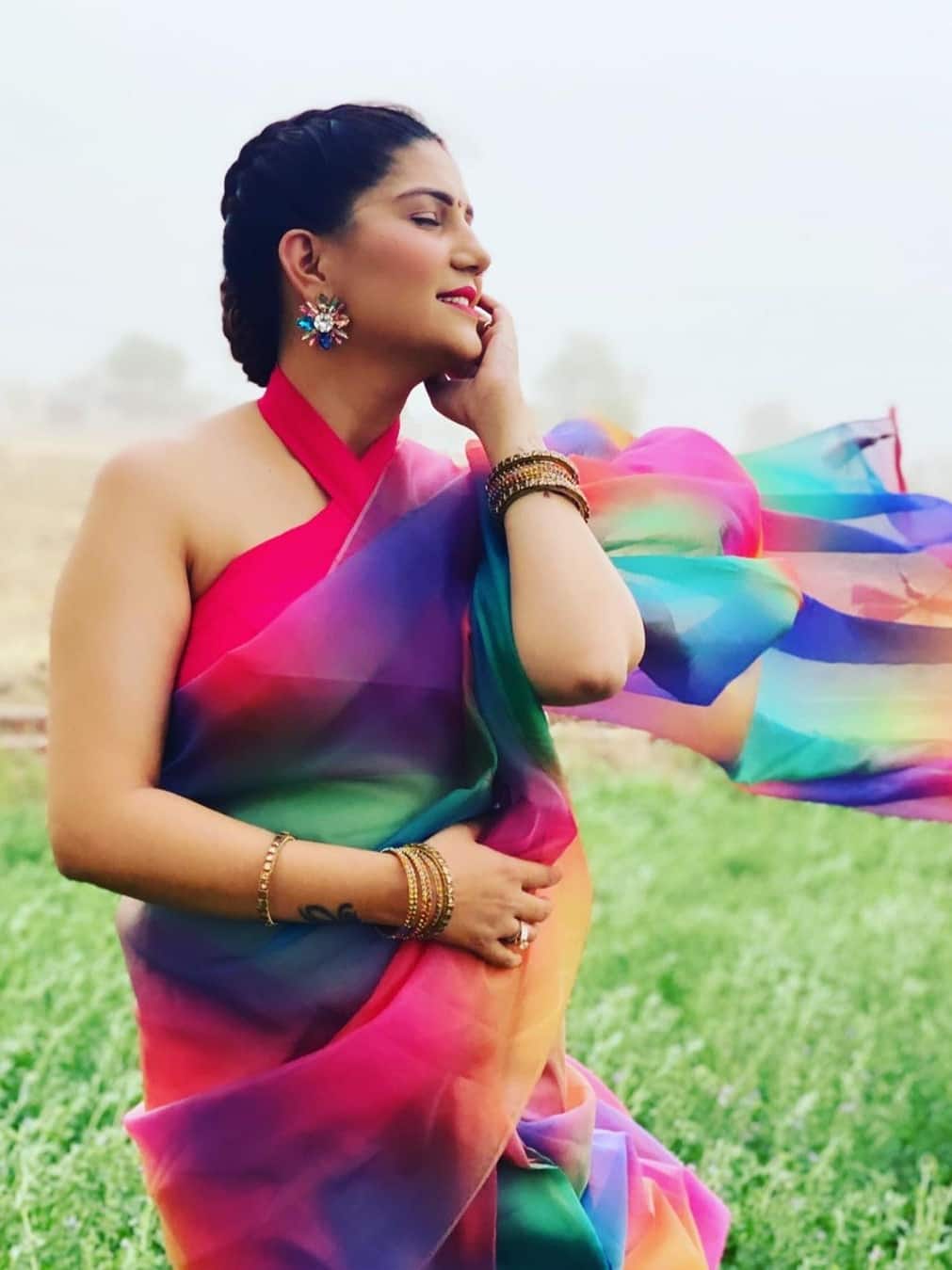 सपना चौधरी के धांसू डांस ने जीता फैंस का दिल