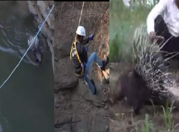 The thrill of rescuing Salinder from a 50-foot-deep well; Animal ...