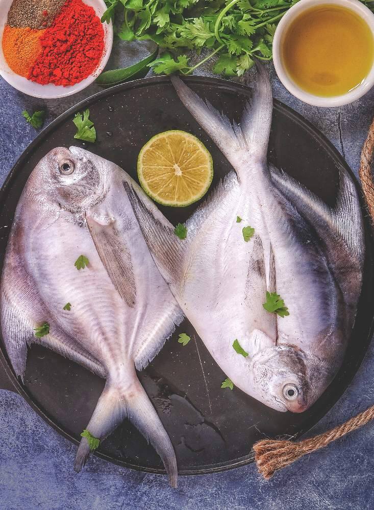 సముద్రపు చేపలతో ఎంతో ఆరోగ్యం