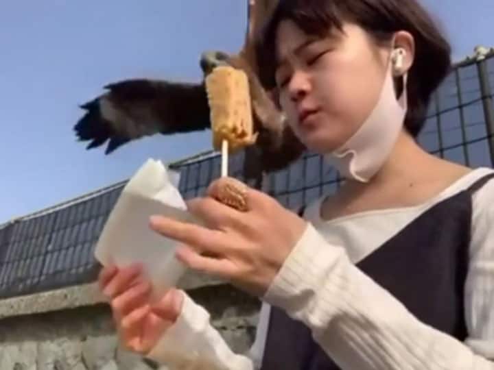 viral video bird came flying behind the girl who was eating ice cream ...