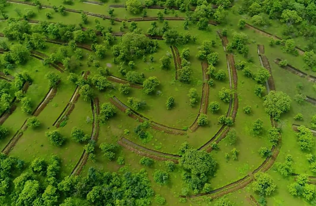 Paani Foundation Permaculture instructor Andrew Millison reveals his ...