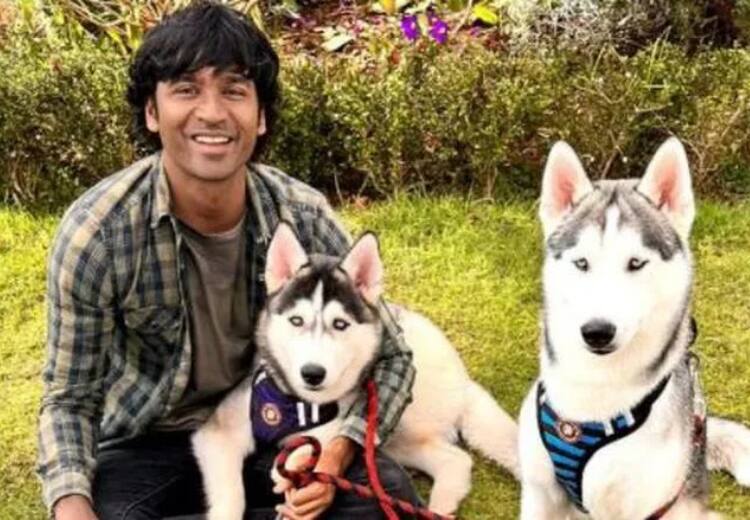 Dhanush reunites with his pet dogs after a long time and shares picture ...