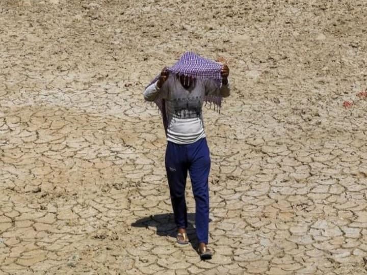 Rajasthan weekly weather forecast IMD heat wave rain alert in jaipur jodhpur udaipur kota barmer ...