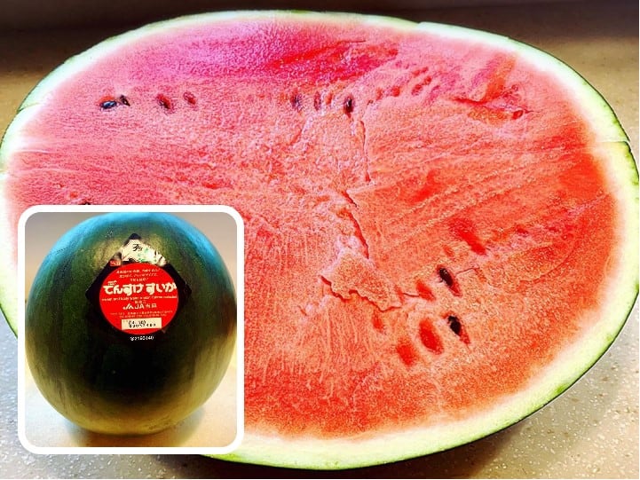Densuke Watermelon, The World’s Most Expensive Fruit | Densuke ...
