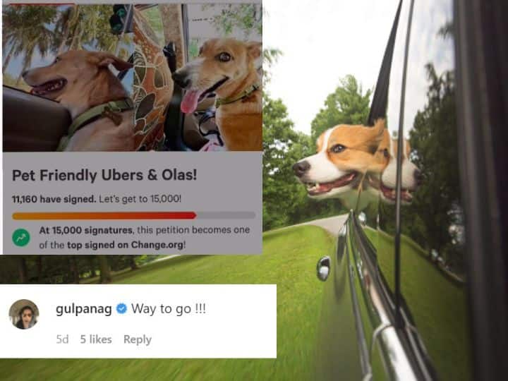 Youtuber Scherezade Shroff Starts Petition For 'Pet-Friendly' Rides ...