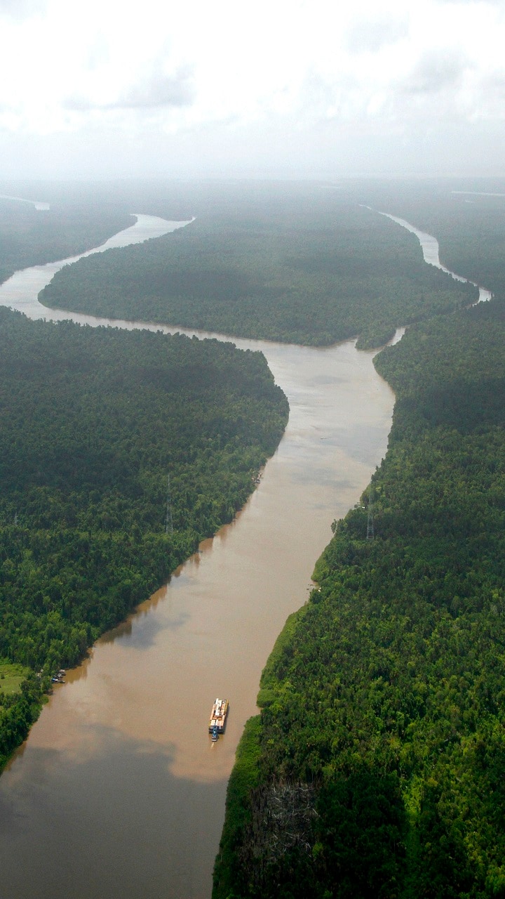 அமேசான் நதி உலகத்தின் சுவாரஸ்ய தகவல்கள்!