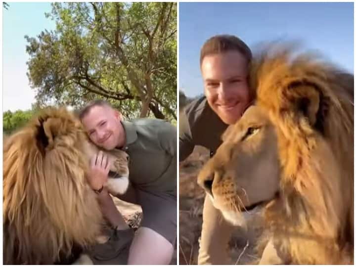 friendship of lion and man in middle of jungle surprised users | Watch ...