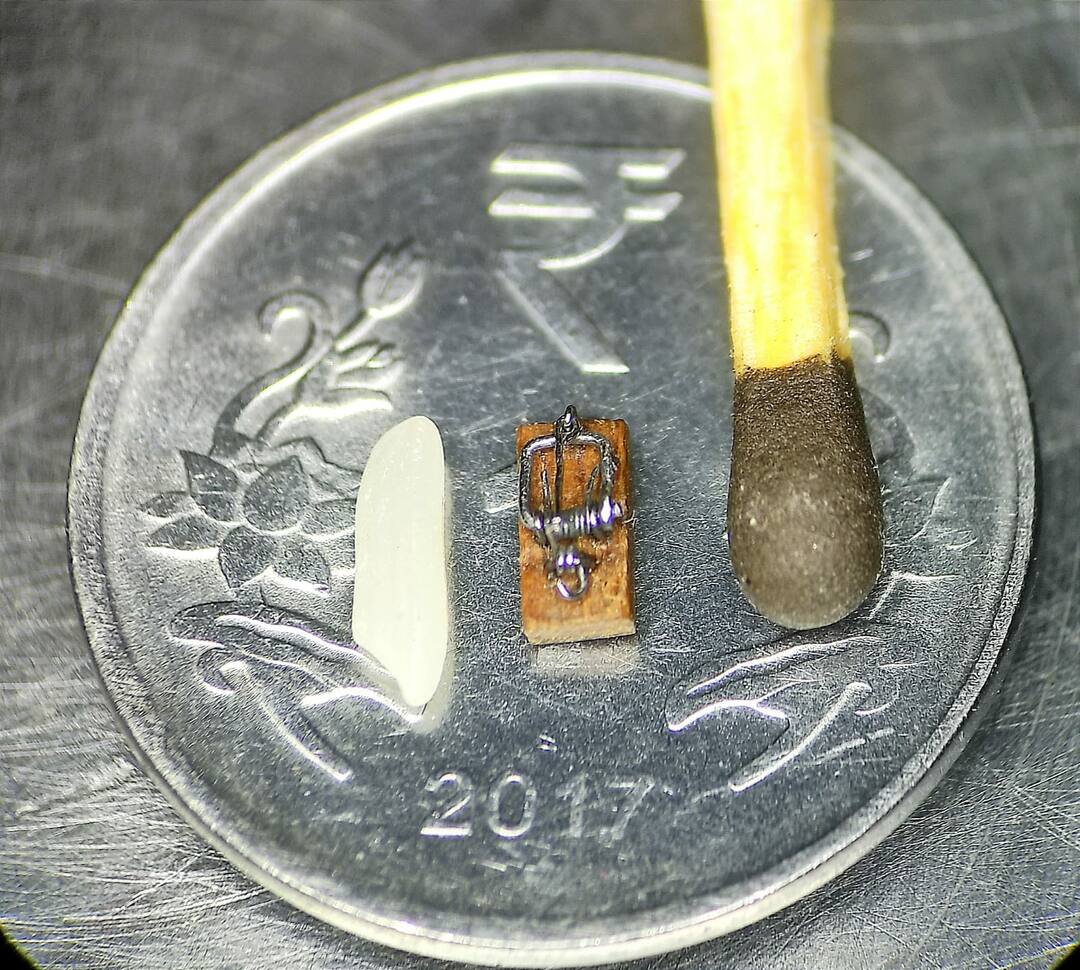 Photos: Jagityal man Achieves guinness world record after making micro ...