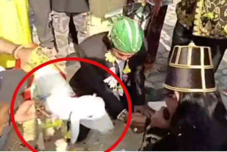Watch: Man Married With Goat To Get Popular, Video Goes Viral | Watch ...