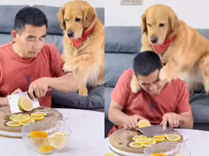 dog licks lemon video viral on social media | Watch: शख्स ने कुत्ते को ...