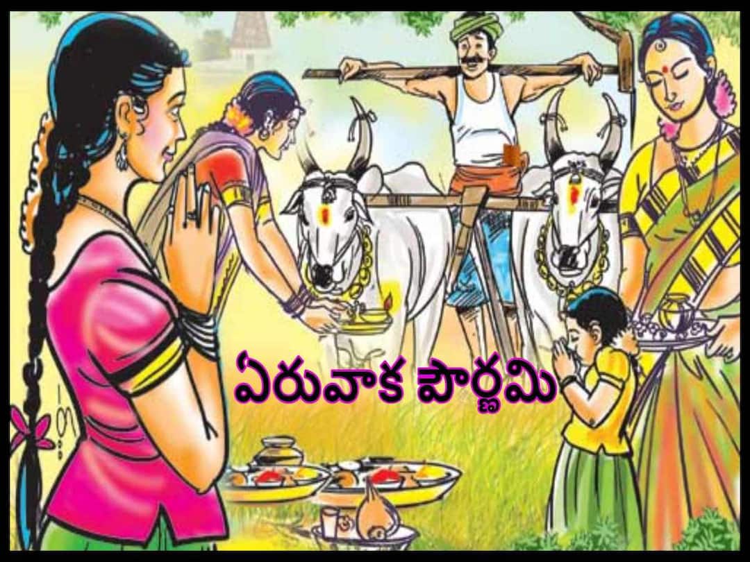 Eruvaka Pournami 2022, Significance and importance of Eruvaka Purnima ...