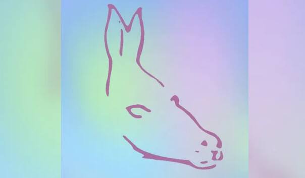 Optical Illusion Mermaid, Fish Or Donkey: See The Optical Illusion That ...