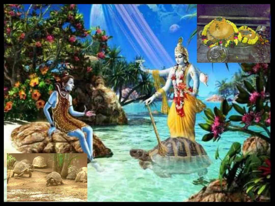 Kurma Jayanti 2022 History siginificance And Interesting Story about ...