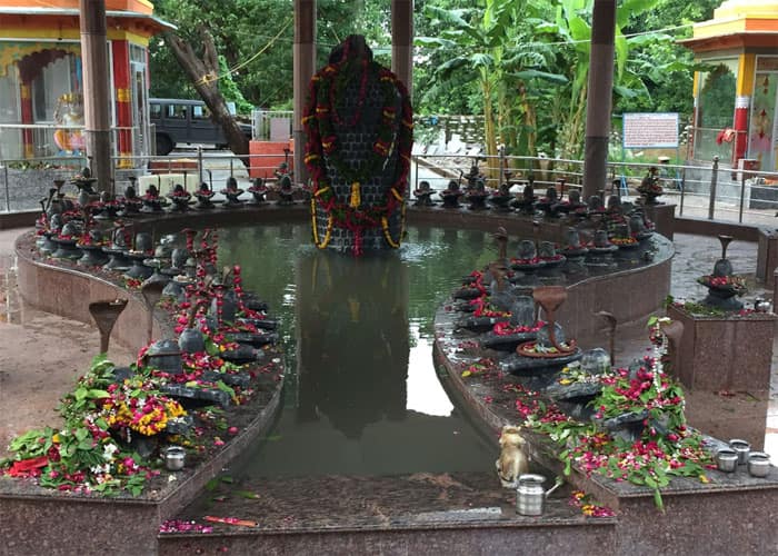 Rajasthan unique temple of Lord Shiva in Kota, know its history ...