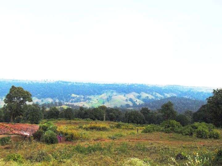 Chhattisgarh weather of Mainpat becomes pleasant in the rain, if you ...