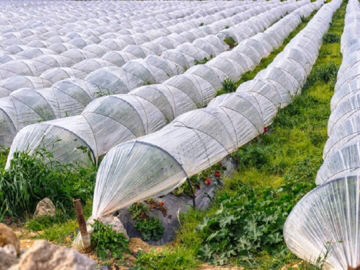 Plastic Tunnel farming is cheaper than pollyhouse makes farming more ...