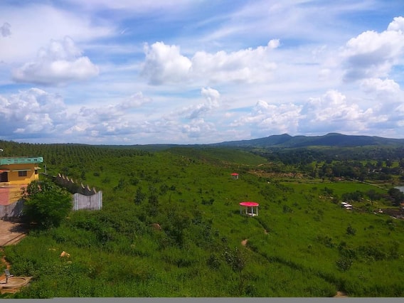 Ambikapur Oxygen Park Became A Tourist Destination In Chhattisgarh See ...