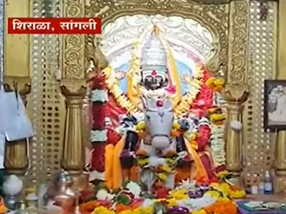 Nag Panchami Is Celebrated In Battis Shirala Only After Following The ...