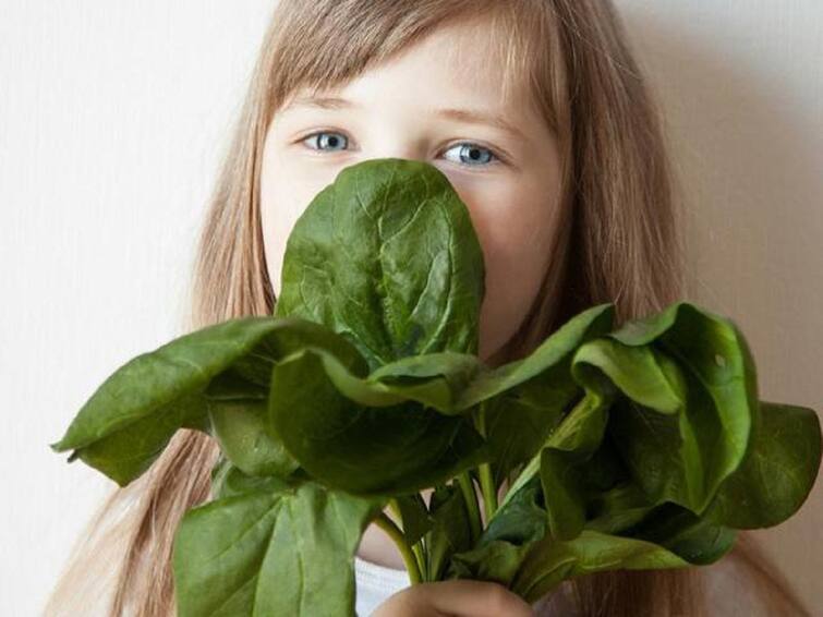 Benefits Of Spinach For Teeth Fighting Bacteria To Strengthening Tooth