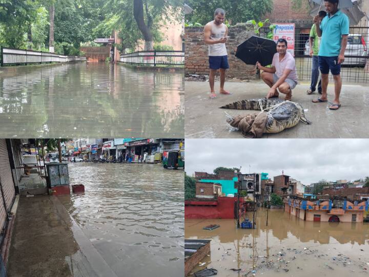 Rajasthan Cities and villages of Kota division submerged due to heavy ...