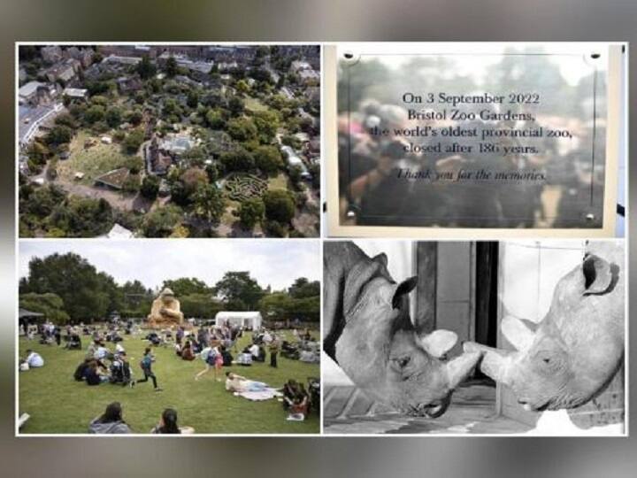 One of the world oldest zoos has shut down down after 186 years here why | Bristol Zoo Gardens ...