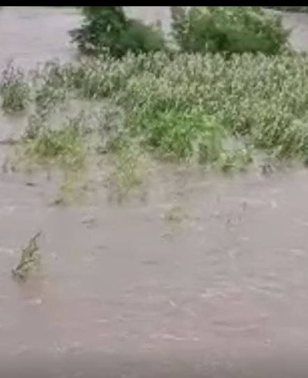 Heavy loss of crops in Parner taluka due to rain | Photo : पावसामुळं ...