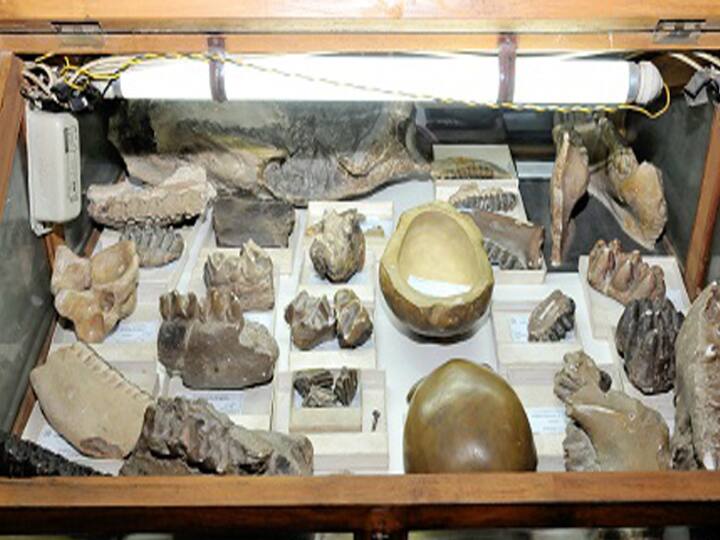 COEP to inaugurate Geology Museum with virtual lab on September 19 ...
